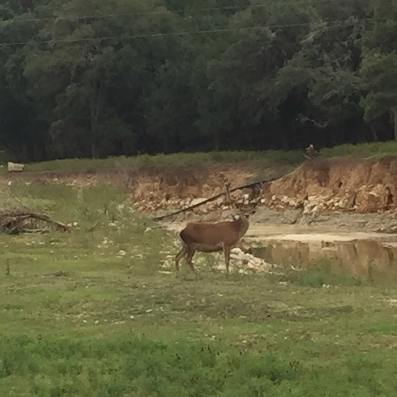 Hunting - Medina River Ranch Resort